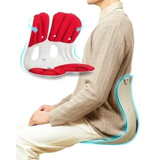 Chair [Adult] Ergonomic Back and Lumbar Support for Good Posture ...
